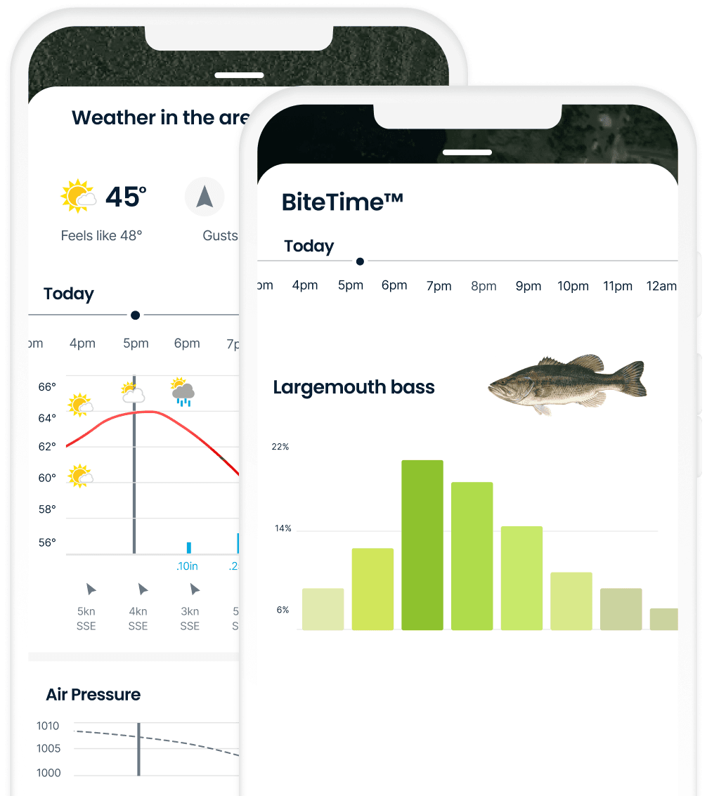 ᐅ Pasquotank River fishing reports🎣• Elizabeth City, NC (United States ...