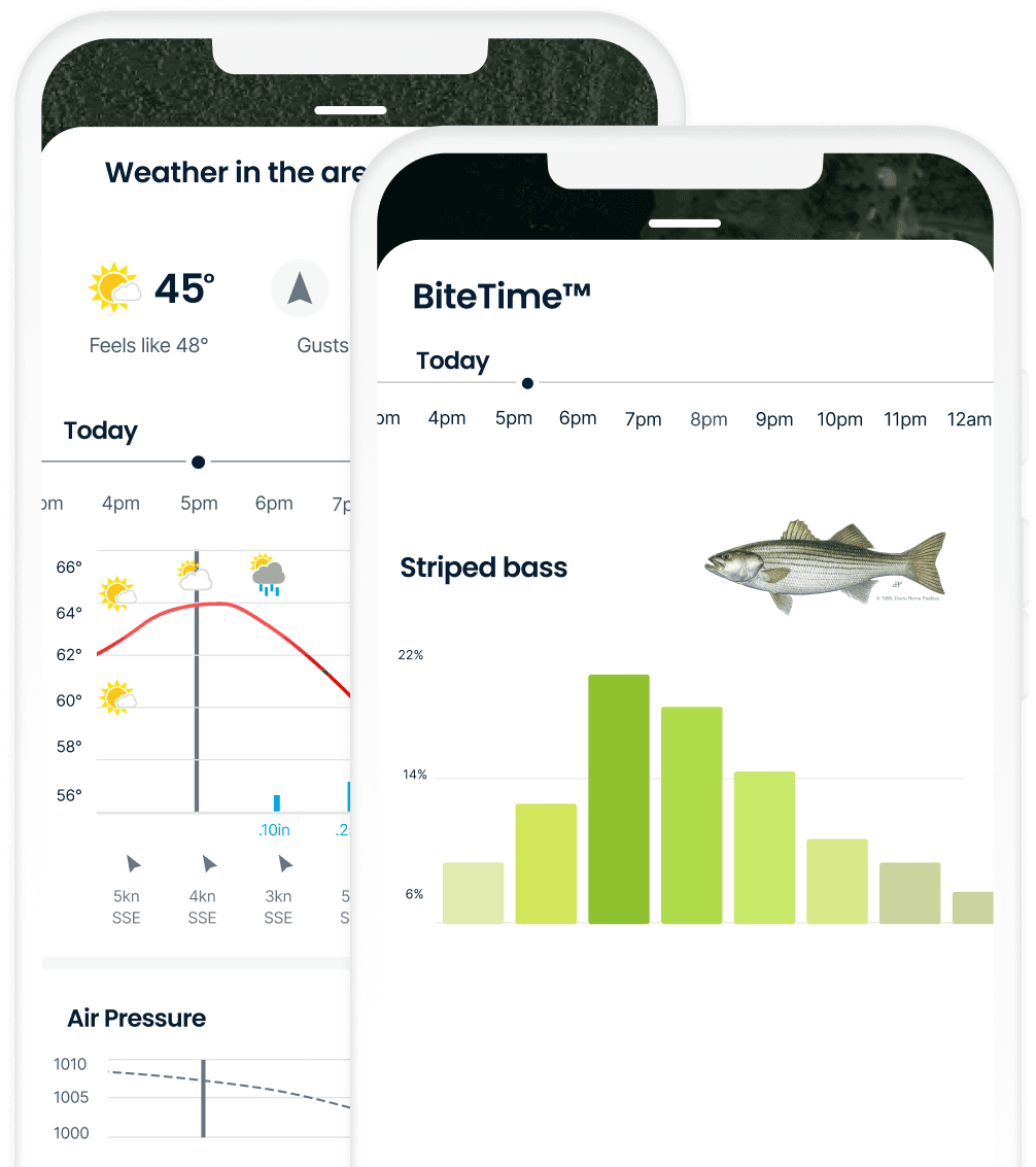 ᐅ Keansburg Pier fishing reports🎣• Hazlet, NJ (United States) fishing