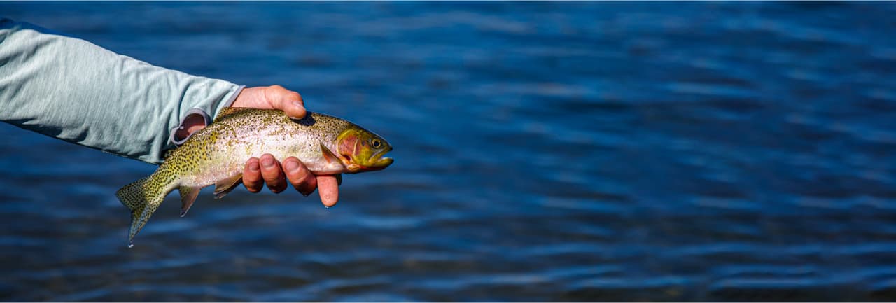 Fishing App and Fishing Tools