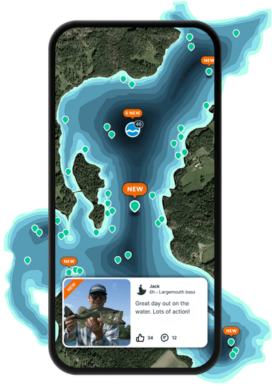 ᐅ Logan River fishing reports🎣• Queensland, Australia fishing