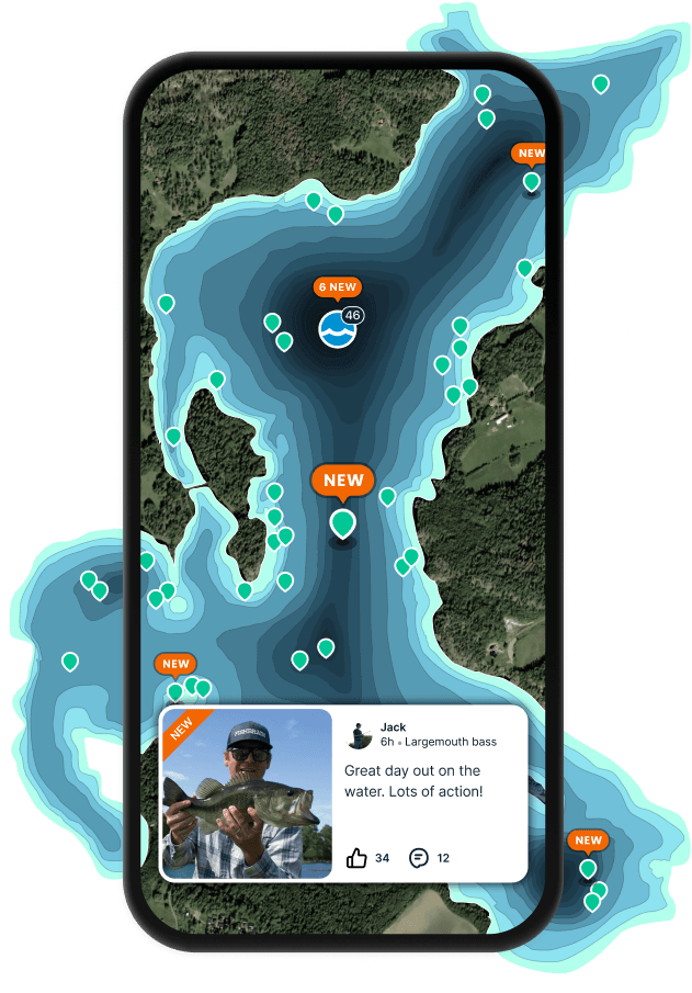 Explore how to fish, where to fish and more
