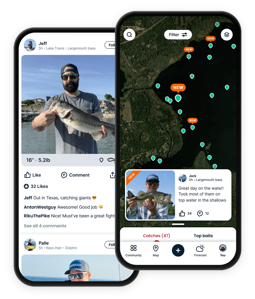 Fishing App and Fishing Tools