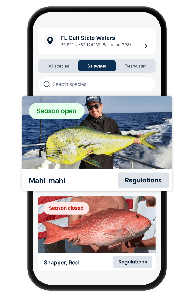 Fishing App and Fishing Tools