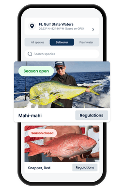 Fishing App and Fishing Tools