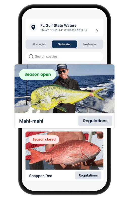 Fishing App and Fishing Tools