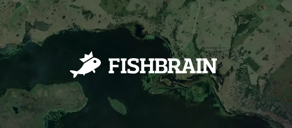 Fishing for Balao halfbeak near you